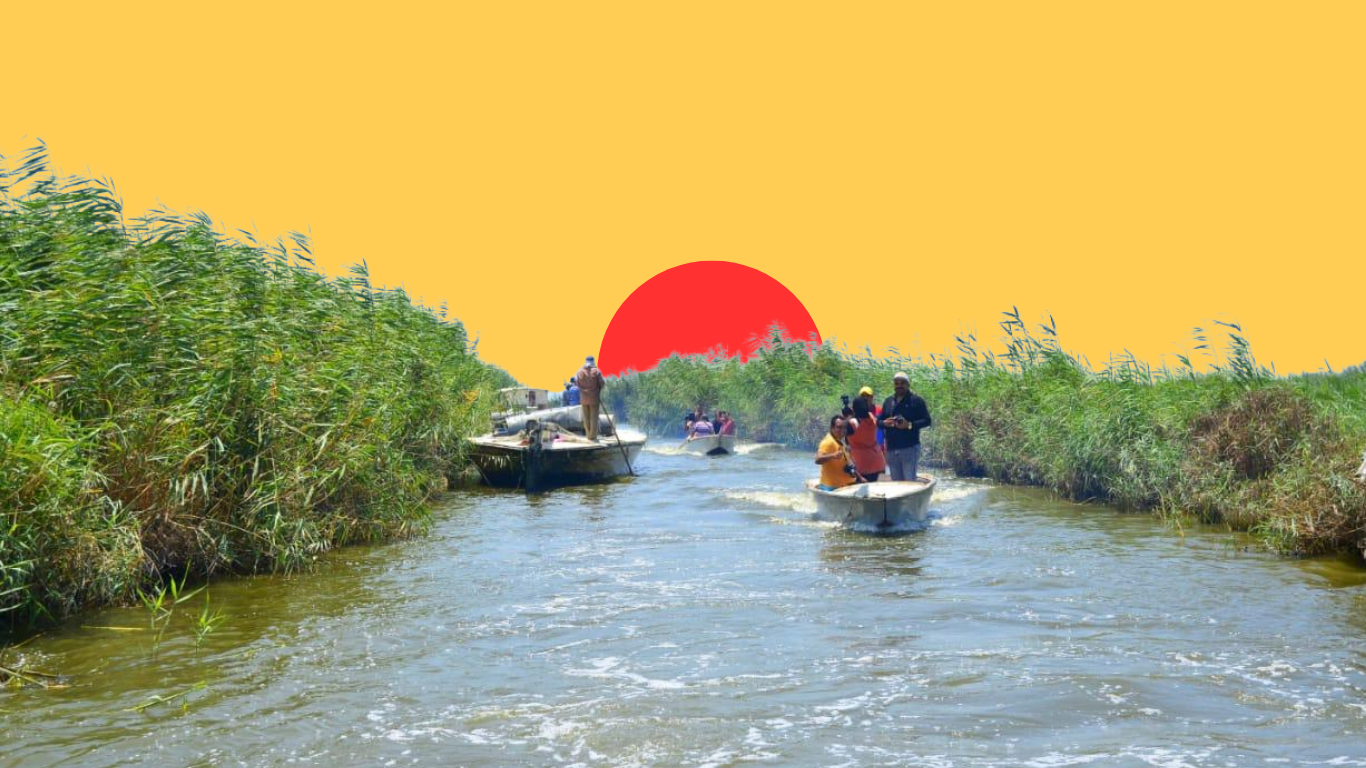 Egypt’s Lake Manzala Crisis: Pollution and Overfishing Threaten Fish ...